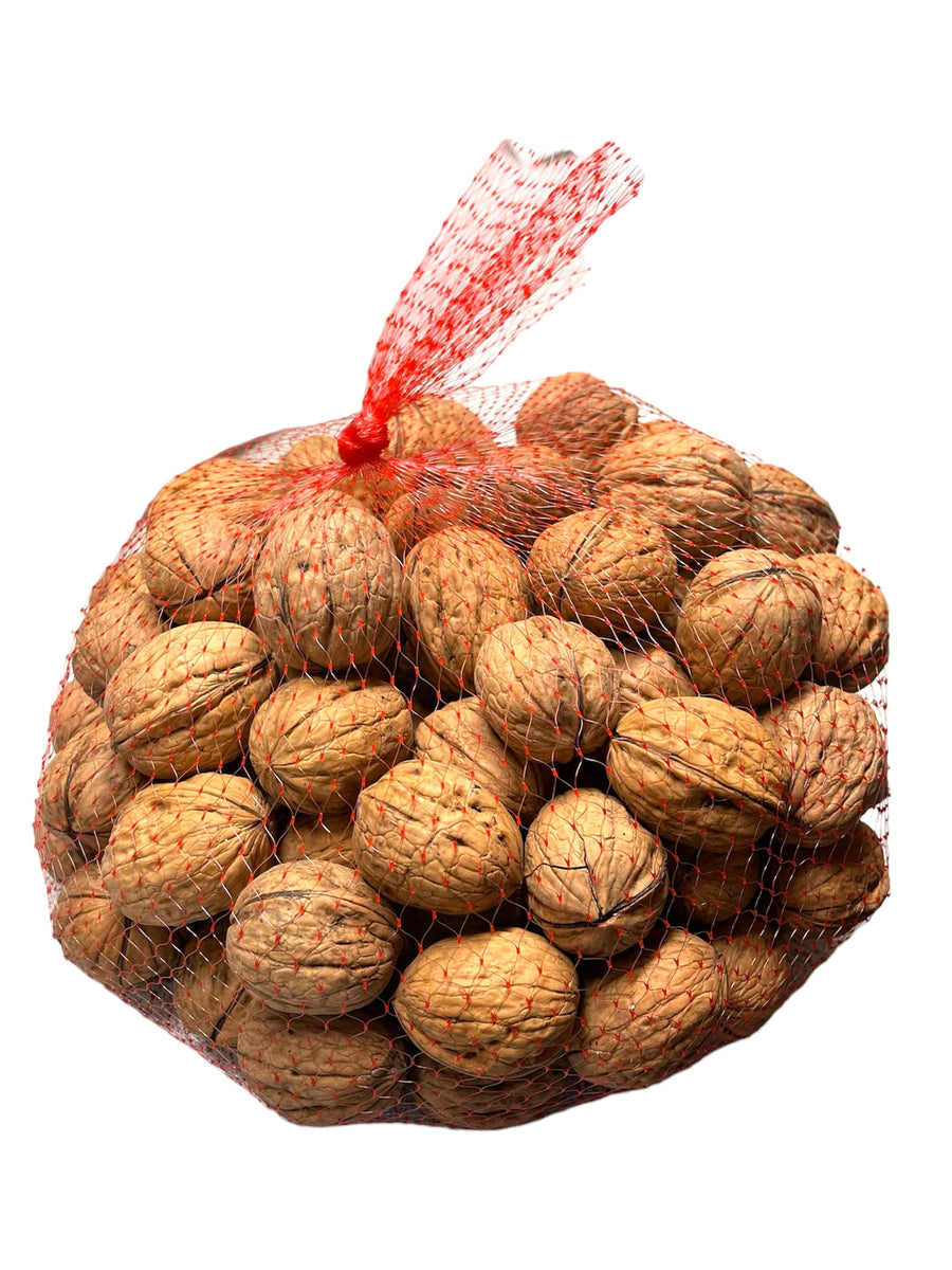 Premium Chilean Walnuts In Soft Shell – Tavazo Corporation